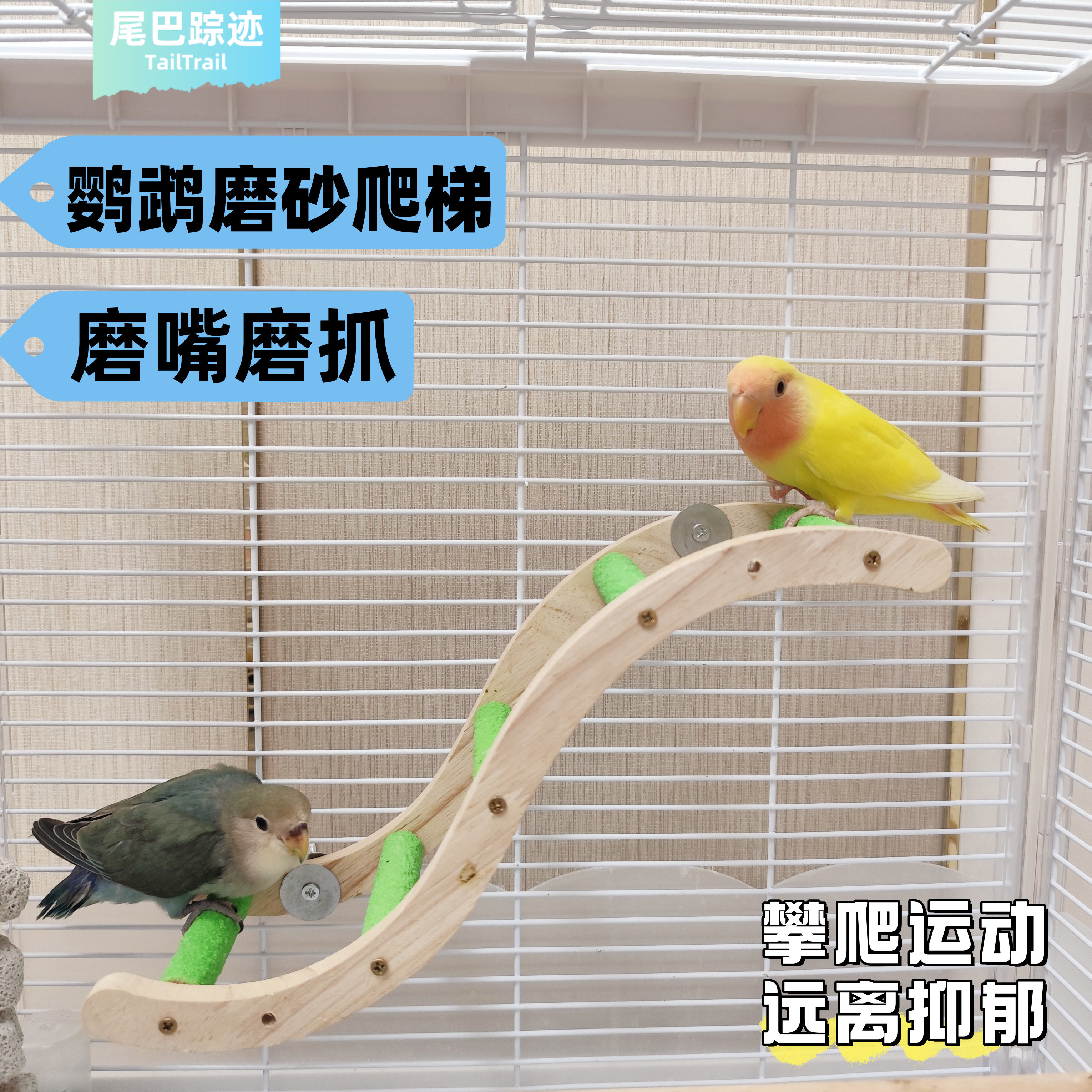 虎皮牡丹鹦鹉玩具小鸟互动爬梯攀爬绳秋千配件用品云梯木梯磨爪嘴