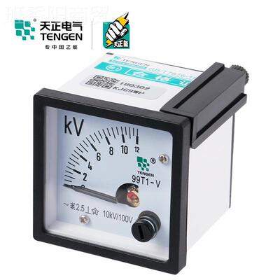 TE1GEN正 99T-V指针式48*48mm交流电压表450UWVNV100V10KV天250V1