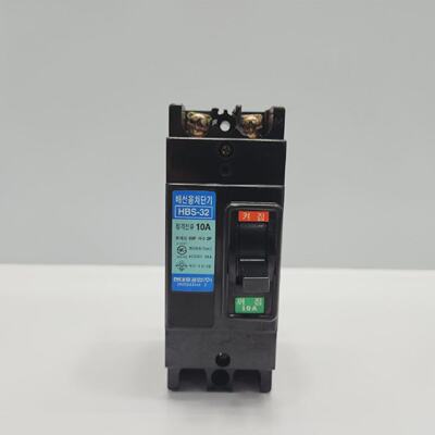 HYUNDAI HBS32 2POLE MOLDED CIRCUIT BREAKER 10A