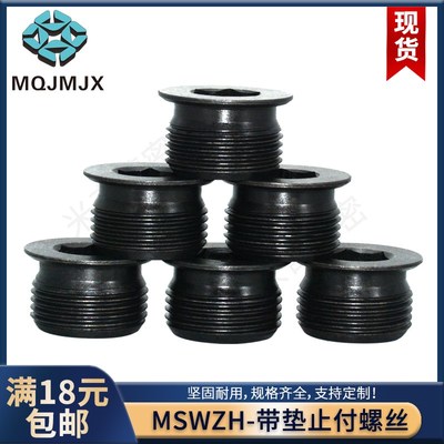 螺塞孔型凸缘型MSWZH带垫止付螺丝MSWZ公制内角M10堵头顶丝ZFLS