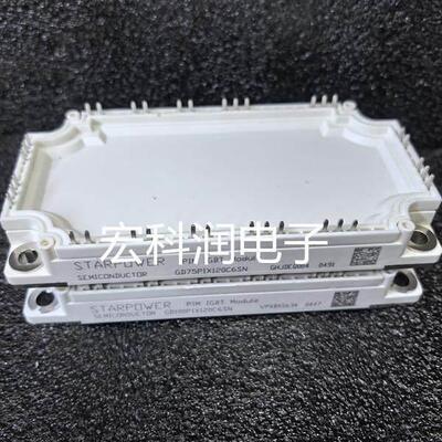 GD100PIT120C6SN-G8 GD75PIY120C6SN GD100PIY120C6SN GD50PIX12