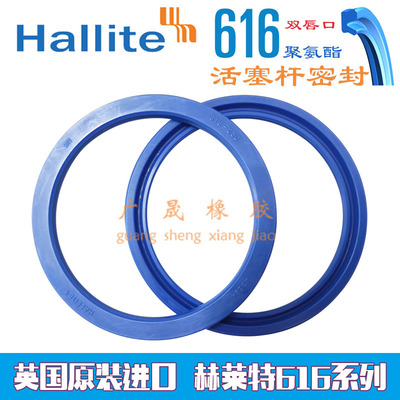 Hallite赫莱特H616拉杆封75*90.5 80*95.5 85*100.5 90*105.5*6.3