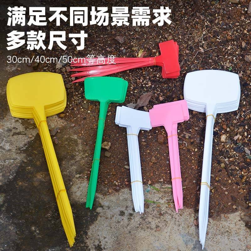 斜面大号插地牌园艺标签园艺标识牌植物指示牌插地标牌记号牌子