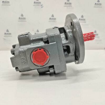 Bomba De Engranaje Hidrulica Kracht KF124 D10K P0A 0DD1