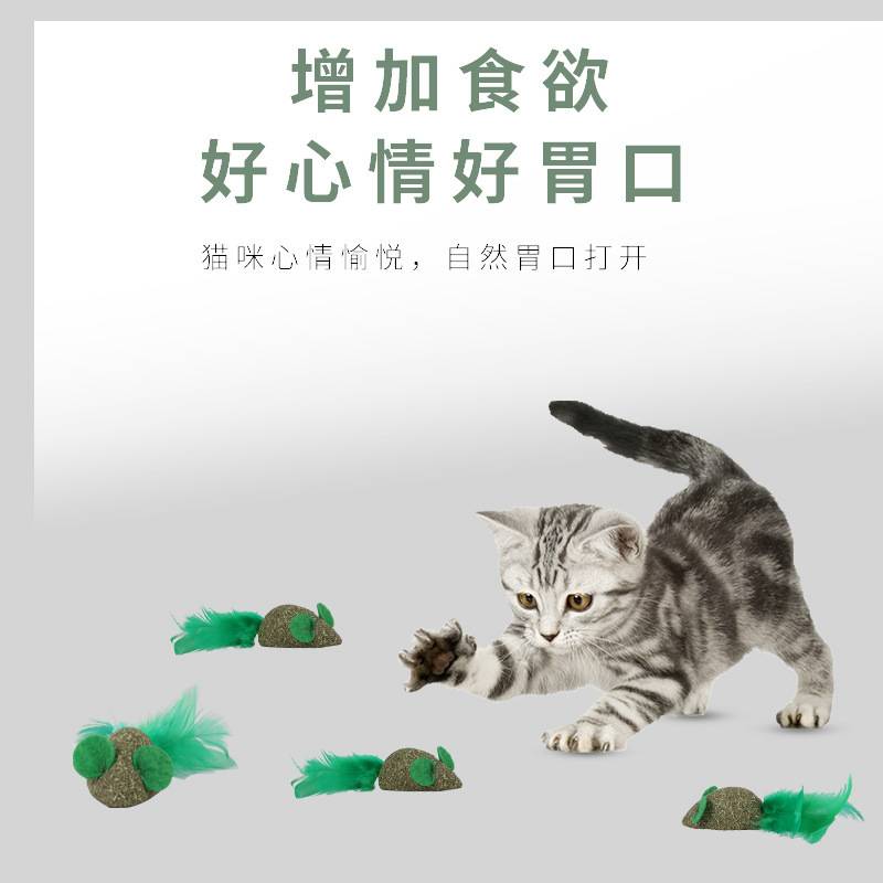 厂家现货猫薄荷棒棒糖木天蓼磨牙棒洁齿自嗨玩具猫咪零食