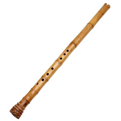 桂竹南箫大头萧专业演奏8孔初学尺八一节洞萧笛6孔GF调紫竹箫乐器