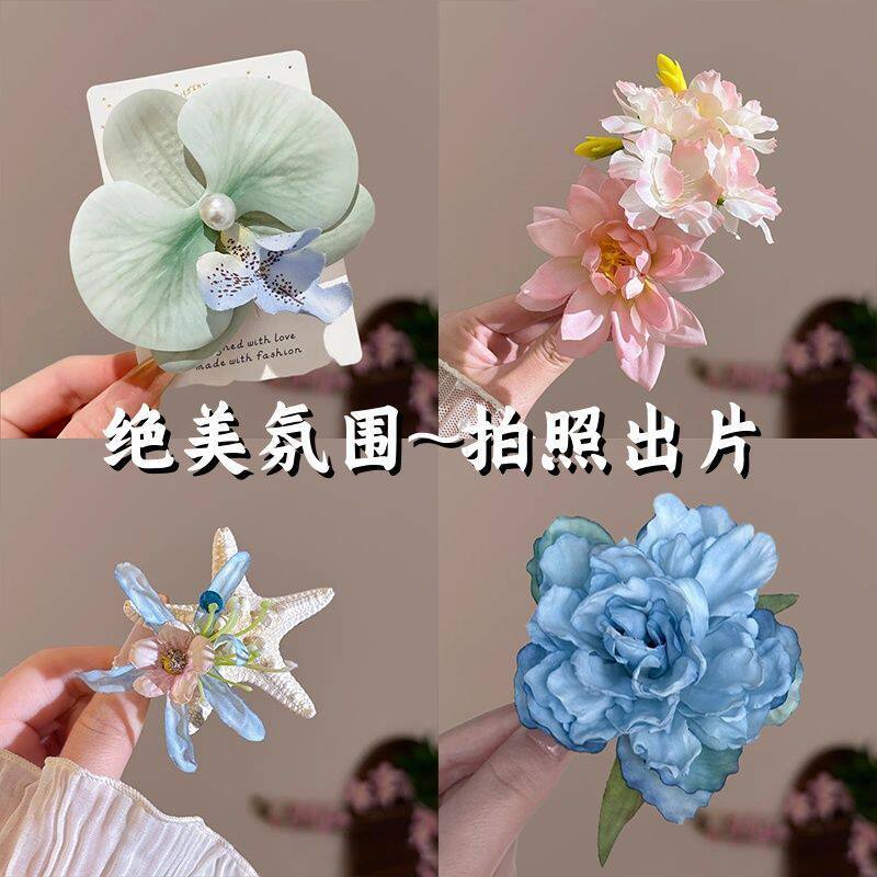 海洋系列碎发夹永生花海星贝壳浆果头饰海边旅游度假拍照发卡发饰