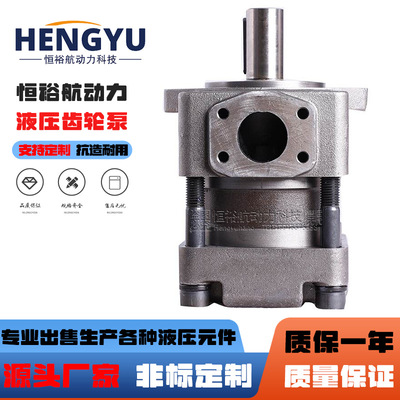 住友SUMITOMO齿轮泵QT22-4 QT32-10F QT42-20F QT52-40F QT62-80F