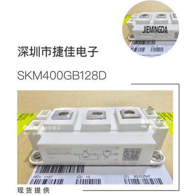 SKM400GB125D SKM400GB128D SKM400GAL12E4/125D SKM300GAR123D