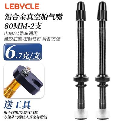 管胎法嘴真空胎通用气嘴自行车真空胎48mm法式真空汽嘴气门芯工具