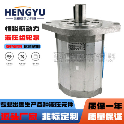 赛特玛螺杆泵SETTIMA齿轮泵G72V175FSDACMED G72V125 G72V101油泵