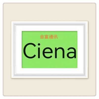 议价！Ciena光纤模块