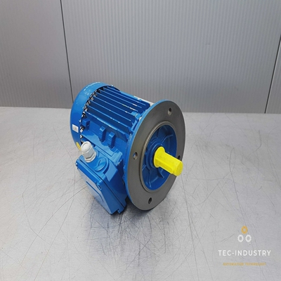CANTONIMOTOR20G10B3120SG0009I3-PHASEN-MOTORI50HZI4.