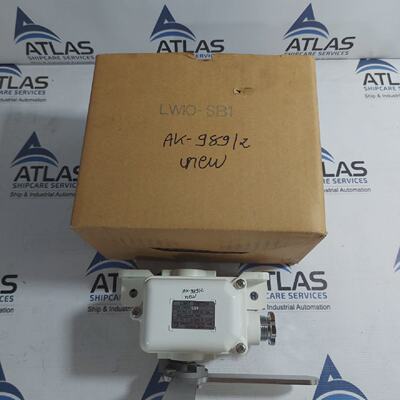 Interruptor De Lmite SAKAMOTO LWIOSB1 IP 66 500V 10A