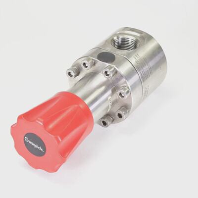 SWAGELOK RSN8025VVV Pressure regulator INOUT 1NPT