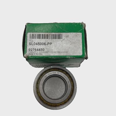 INA SL045006PP 02764430 CYLINDRICAL ROLLER BEARING NEW IN BO