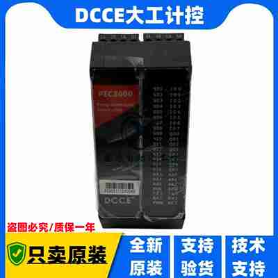 议价-全新原装DCCE大工计控CPS100电源模块CPfS200质保一年支