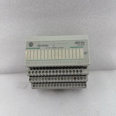 Lot De 6 Allen Bradley 1794OB16 Flex 16 Point Module De Sort