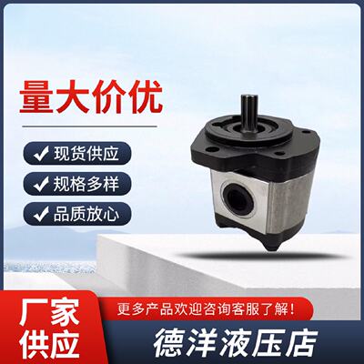 询》德国CONCENTRIC齿轮泵WP09A11802258WP09A1B180202018A液压帮