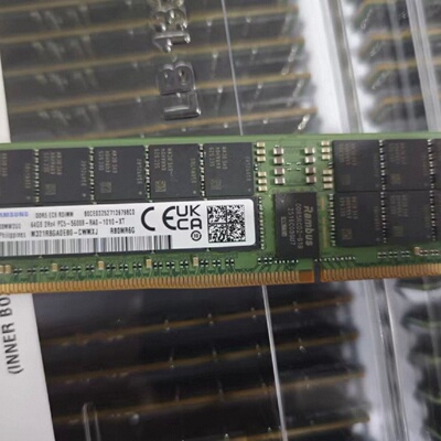 全新三星64G DDR5 5600 ECC REG内存-议价