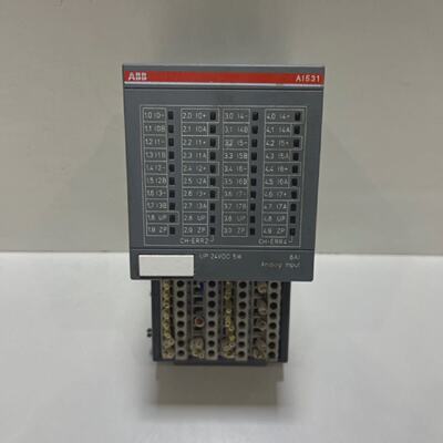 ABB 1SAP250600R0001 AI531 Analog Input Module  Abb 1SAP21220