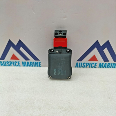 PizzatoFS2996D024-F3SafetyInterlockSwitch