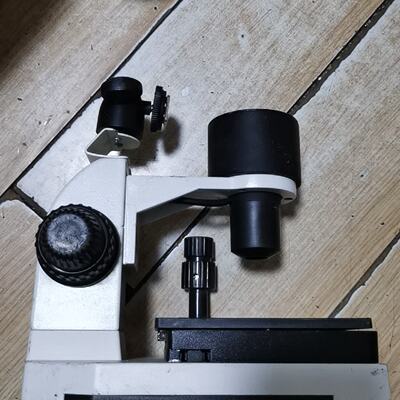 议价Xw880 Peripheral Vascular Observer Electron Microscope N