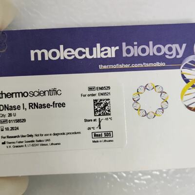 议价赛默飞DNA酶 DNase I  EN0529
