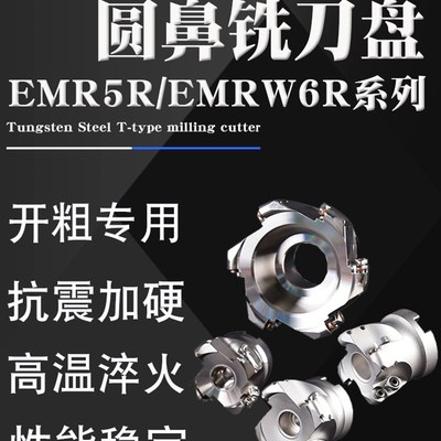 EMR/W5R/6R圆鼻铣刀盘数控10T3开粗飞刀盘牛鼻端面1003/1204