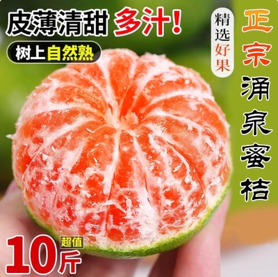 涌泉蜜桔无核黄岩蜜橘当季新鲜水果橘子桔子10斤孕妇