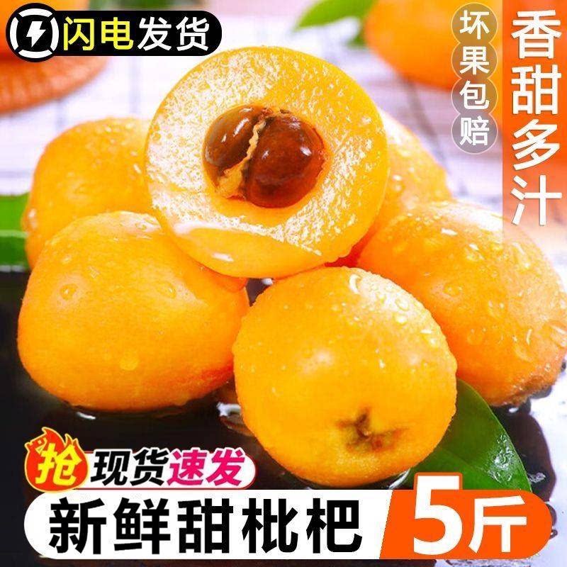 顺丰快递新鲜现摘枇杷鲜果5斤孕妇水果枇杷当季现摘现发长虹琵琶