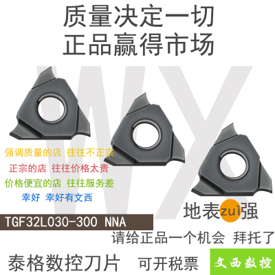 TIGER/泰格 TGF32L030-200 100 110 200 250 150 NNA立装式槽刀片