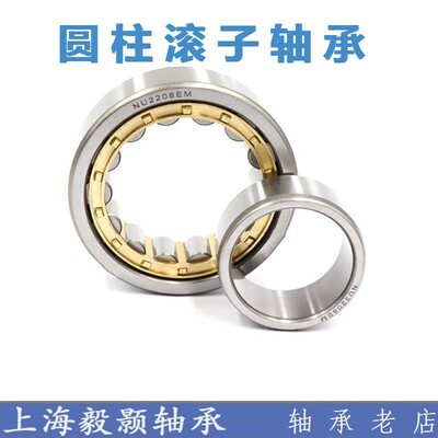 圆柱滚子轴承NU220 221 222 224 226 228 230 232 234 236 238E M