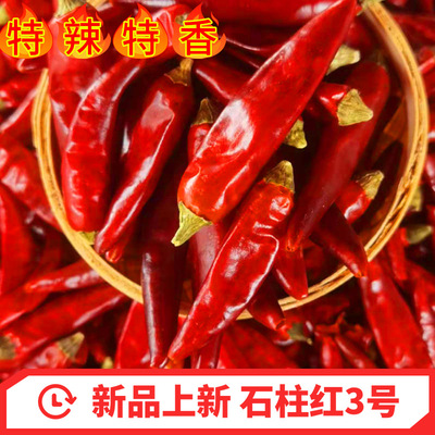 产地货源石柱红3号干辣椒批发老