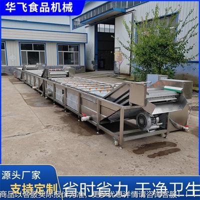 桑菜野菜蔬菜杀青漂烫线 农芽产山品芝OMD麻叶煮护色冷却流预水线