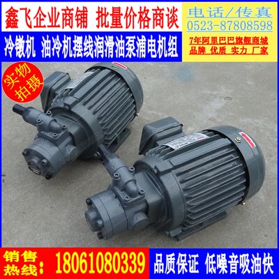 TOP-203HBMVB 204HBM  206HBM 208HBM 210HBM摆线润滑油泵HBMR-VB