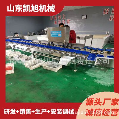 小龙虾专用自动称重分选机 鸡爪称重分级机生产线 肉品高速分拣机