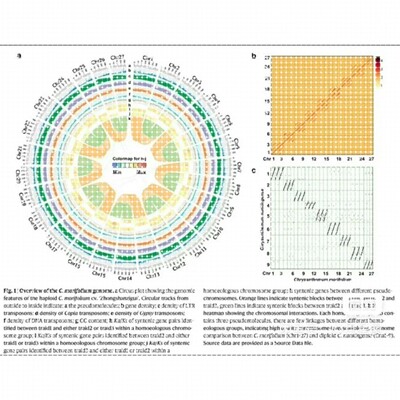 Python数据分析 机器学习 深度学习  数据库 sql查询  一对一辅导