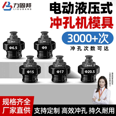 力固邦电动冲孔机模具可定制