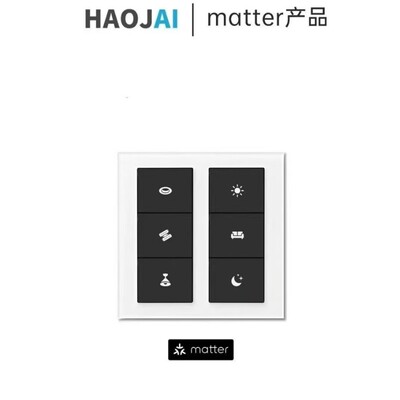 matter智能开关支持HomeKit和GoogleHome六合一多功能组合开关