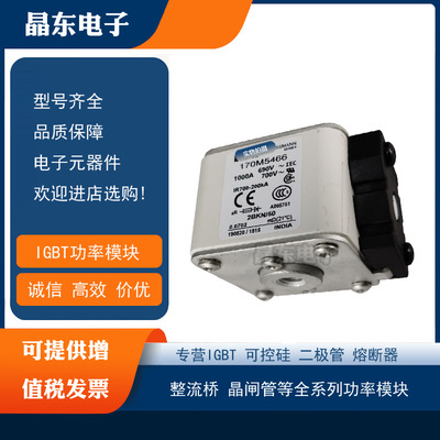 170M5593-170M5598熔断器