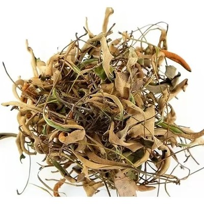 四川野生石韦刀尖草自然晒干人工挑选石韦