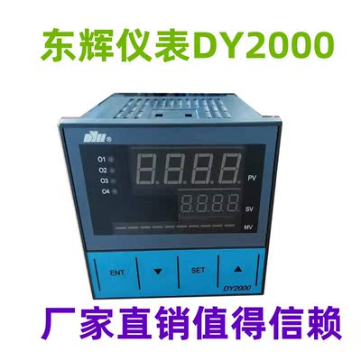 东辉仪表DY2000 DY29AI12 DY29AI06P DY29AI16P DY29AI02-PT100