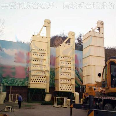 BDG现货立式机低动温气流循环小麦玉米烘干 大干型移粮食燥塔设备