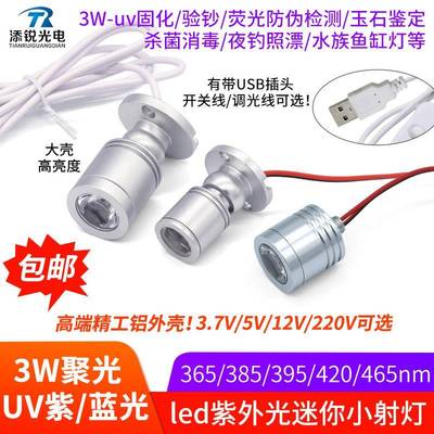 uv紫光365手办模型射灯3w紫395验钞led迷你小射灯usb灯5v3.7v12v