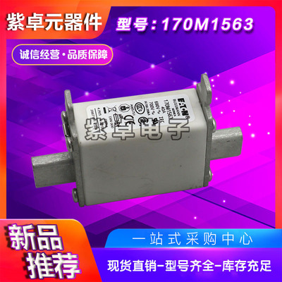 170M1558D 170M1559D 170M1560D 170M1561D 170M1562D快速熔断器