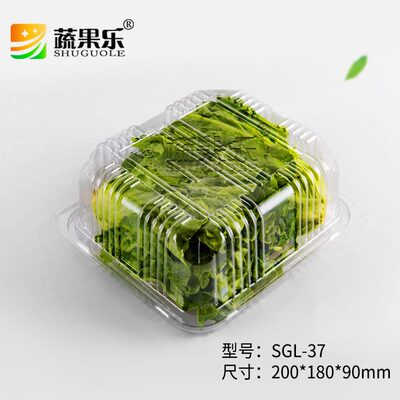 甄选蔬果乐一次性pet透明塑料水果盒一斤蔬菜盒加厚透外卖打包盒