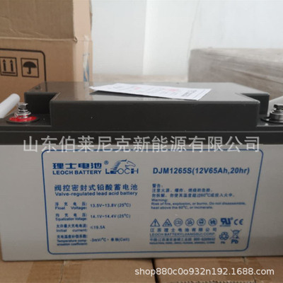 LEOCH理士蓄电池12V90AH DJM1290S 免维护蓄电池 太阳能光伏储能