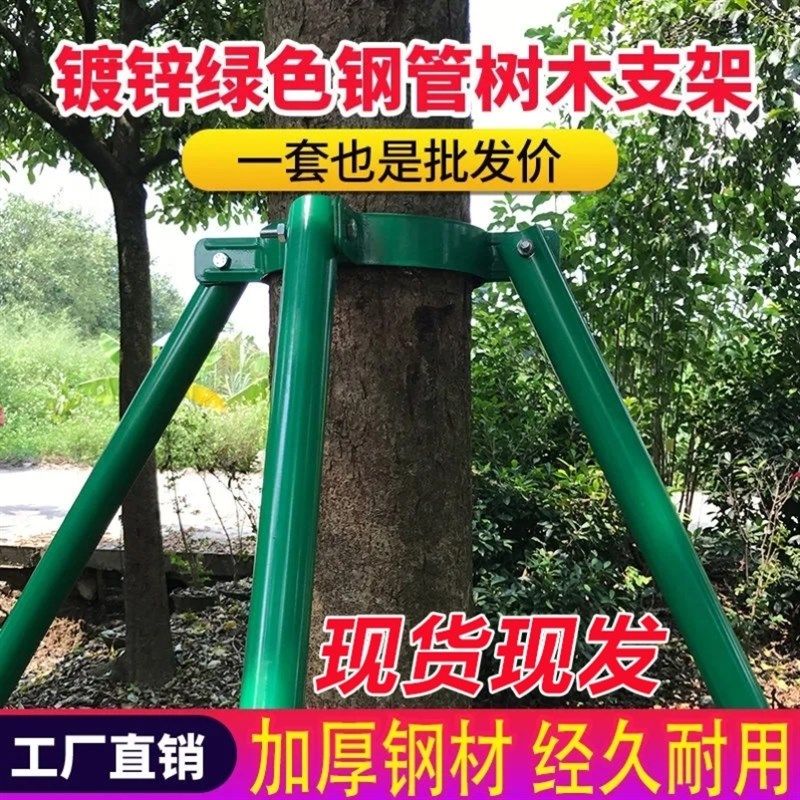 钢管树木支撑架园艺固定器园林防风大树支撑杆绿化苗木支架树撑