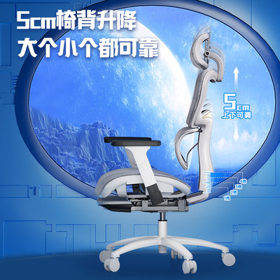 恒林普勒体工学椅电脑椅久坐舒适办公椅护腰电竞椅转椅